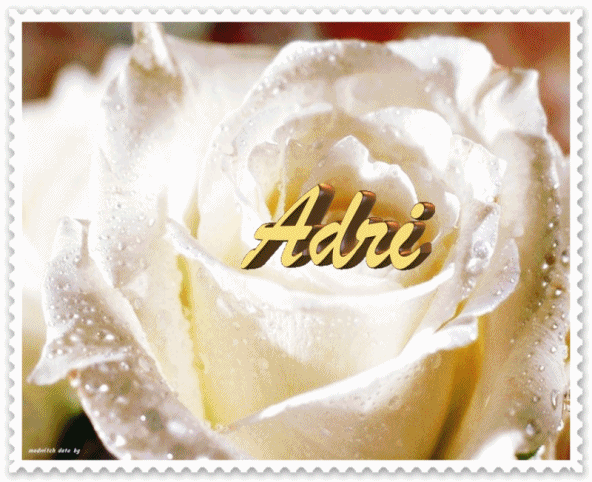 ACERTANDO - FELIZ CUMPLEAÑOS, ADRI!!! (SALUDOS EN ESTE POST) - Numeros ...